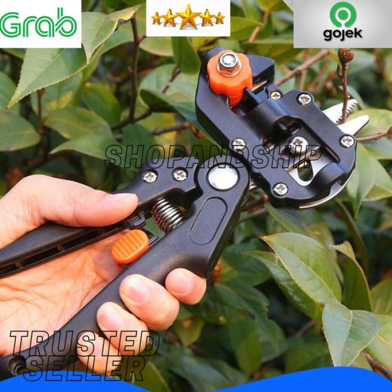 Jual Gunting Cangkok Tanaman Tree Pruner Graft Scissor Plant Ready di ...