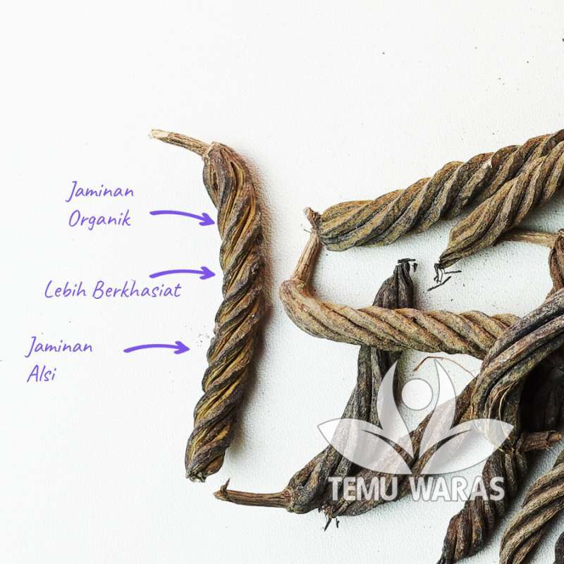 Jual Kayu Ules Atau Kayu Ulet Kering (helicteres Isora) 1 Kg - Bersih ...