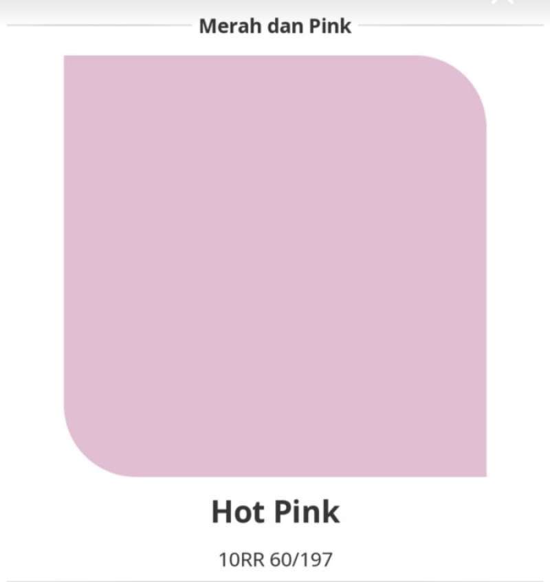 Promo Dulux Easy Clean Hot Pink 2,5L Gallon Tinting CSS Diskon 23% di ...
