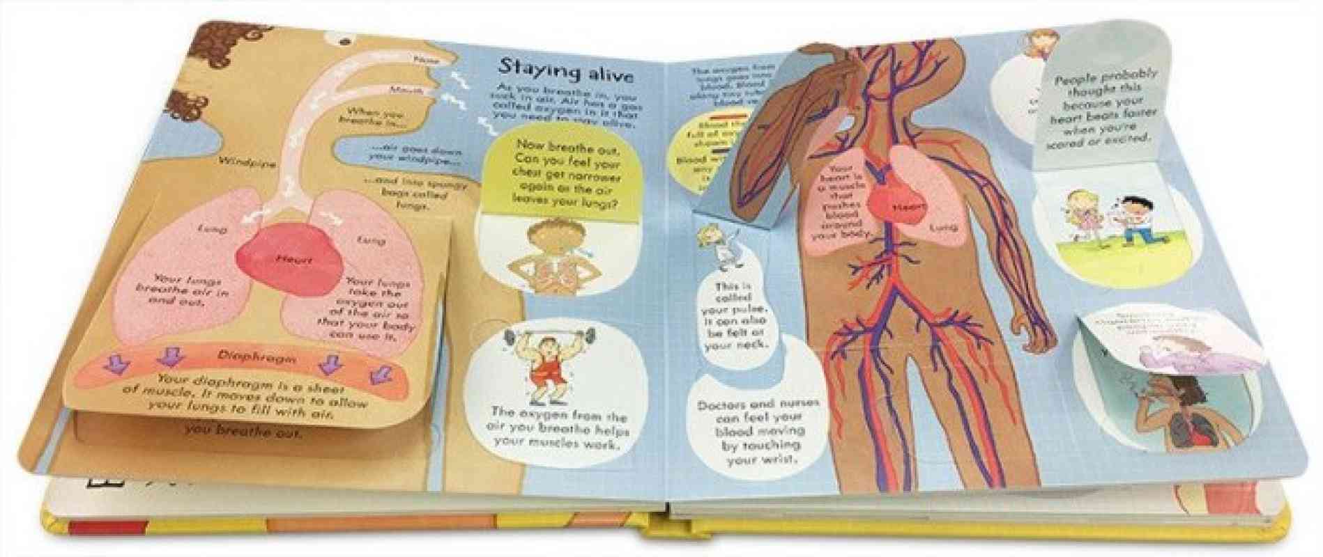 Promo BUKU EDUKASI USBORNE BOOK LOOK INSIDE YOUR BODY TUBUH - Diskon 50 ...