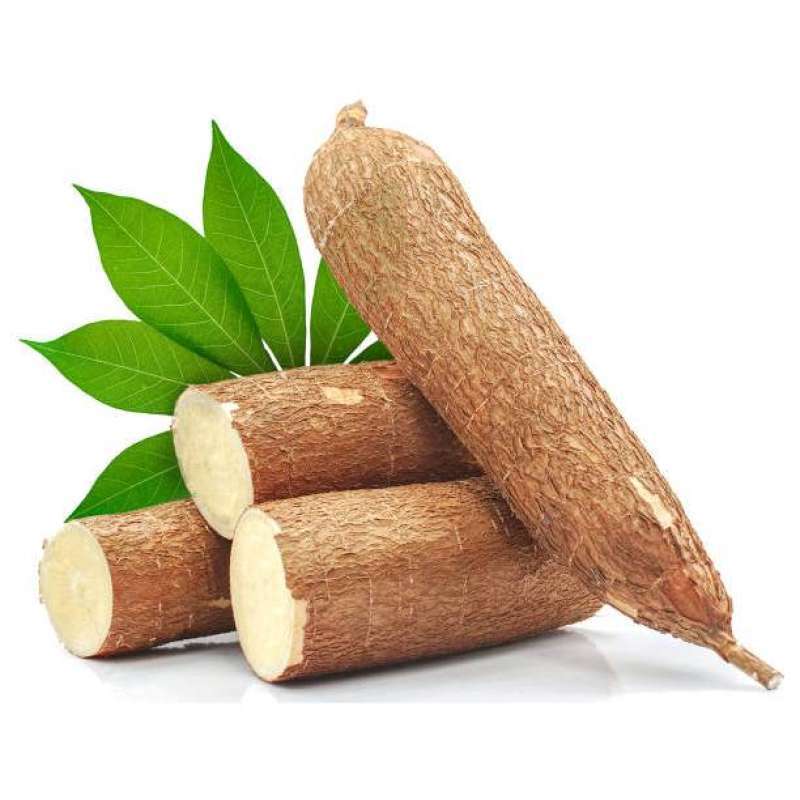 Jual Ubi Kayu 1 Kg | Singkong Segar | Fresh Baru Dari Kebun Di Seller ...