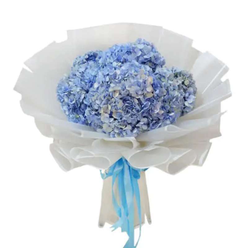 Jual Bunga Hydrangea Freshcut Segar - Hadiah Wisuda, Perayaan ...