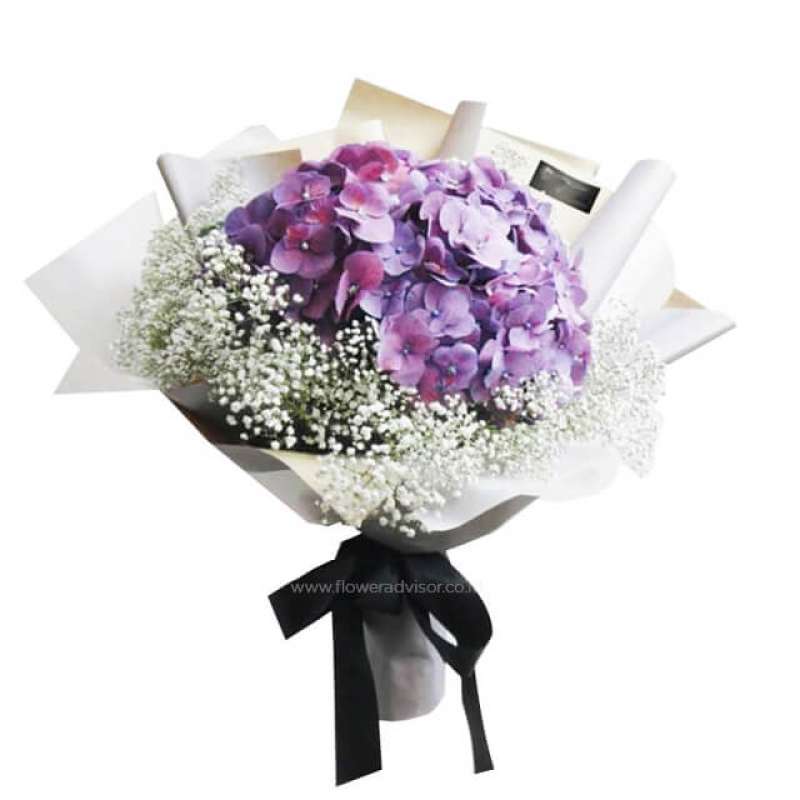 Jual Bunga Hydrangea Freshcut Segar - Hadiah Wisuda, Perayaan ...