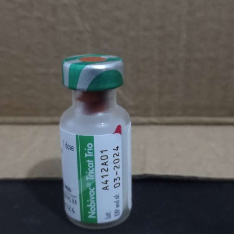 Promo Vaksin Kucing Tricat F3 Diskon 17% di Seller Hafizh Store 4 ...