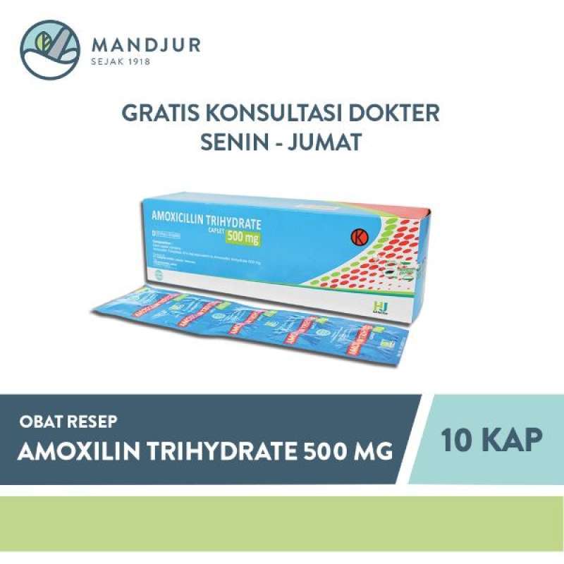 Amoxicillin - Harga Terbaru April 2024 | Blibli