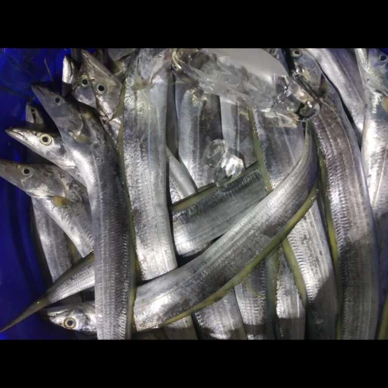 Jual Ikan Layur Segar 1kg Di Seller Cobryzen Shop - Rawa Badak Selatan ...