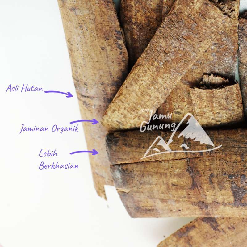 Jual Kulit Kayu Masohi Atau Kayu Masoyi Kering Asli Gunung - Grade A ...