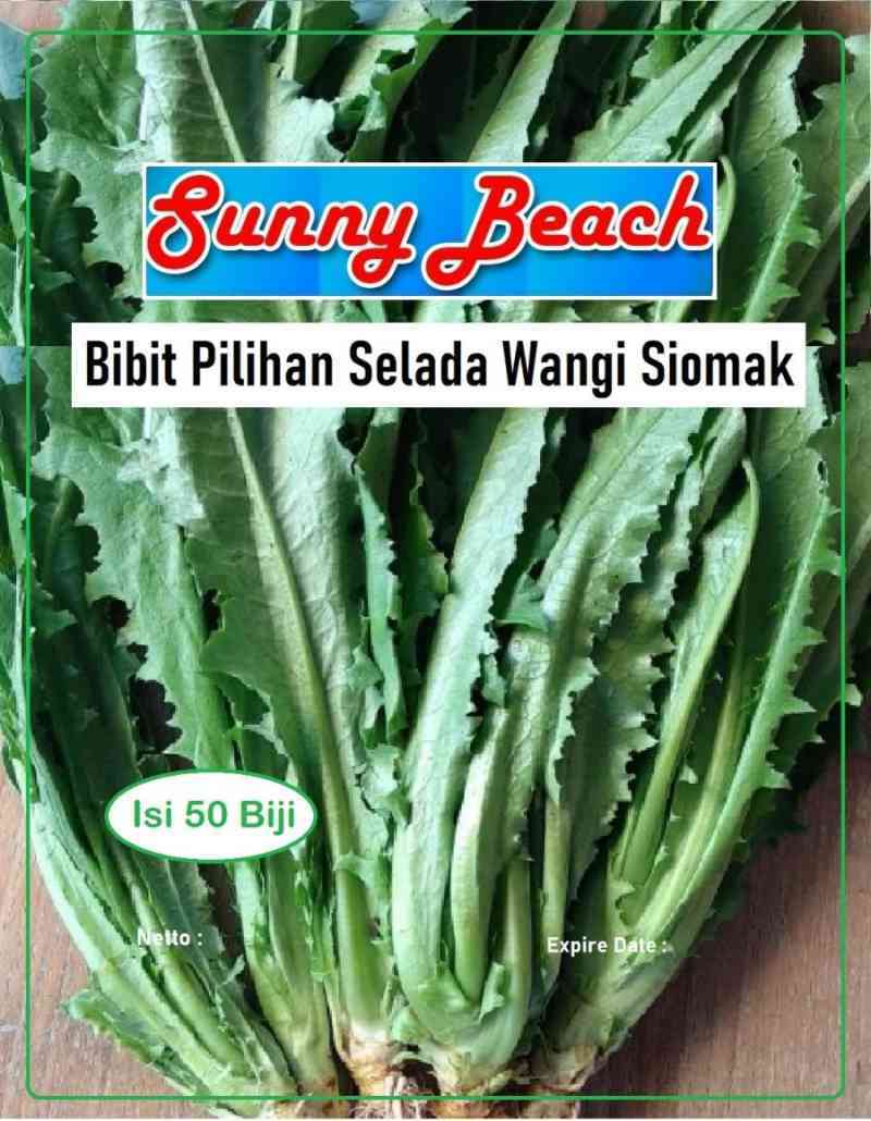 Jual Bibit Pilihan Selada Wangi Siomak | Biji Benih Selada Wangi Siomak ...