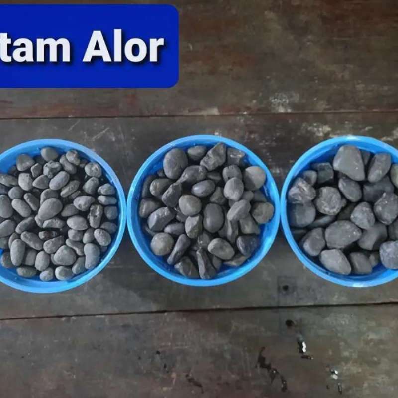 Promo Batu Hitam Alor 10 Kg (batu Alam Koral Sikat Kacang Hias Taman ...