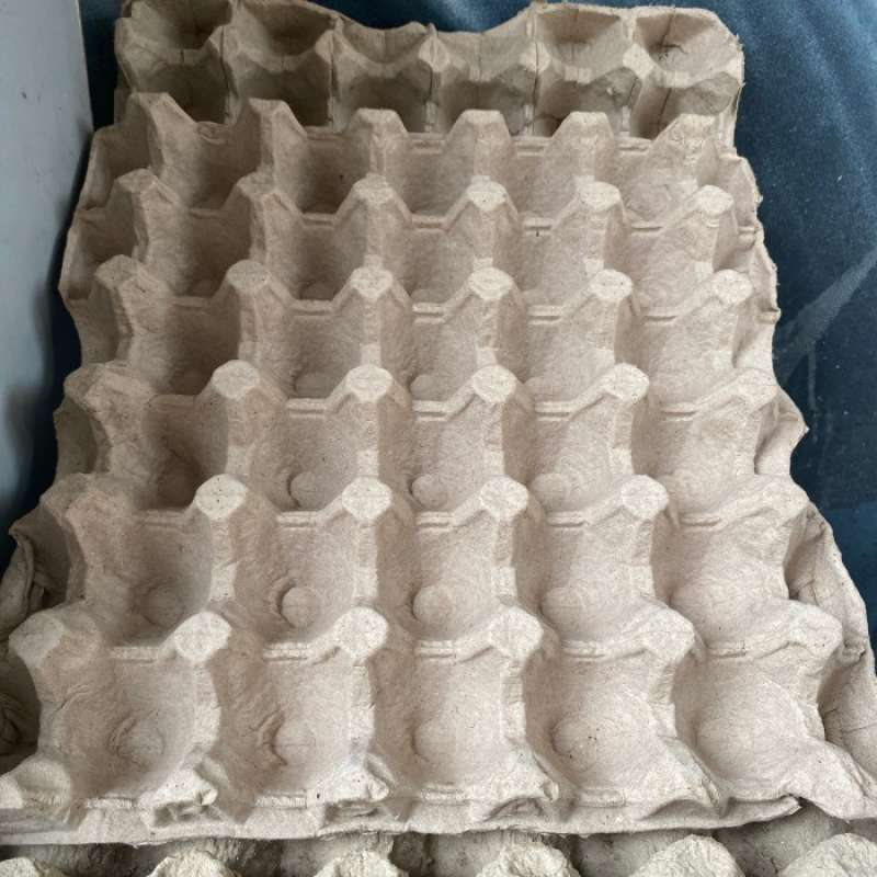 Jual Egg Tray Trey Kertas Rak Telur Telor Second Bekas 30 Butir Bagus ...