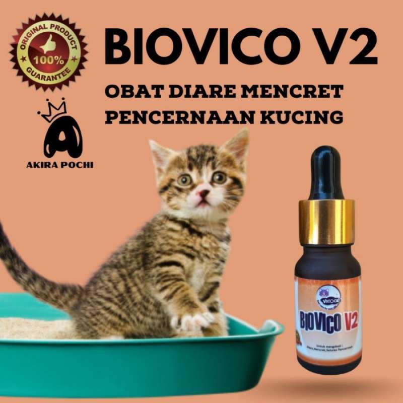 Promo Biovico V2 Obat Kucing Sakit Perut Diare Mencret Antibiotik ...