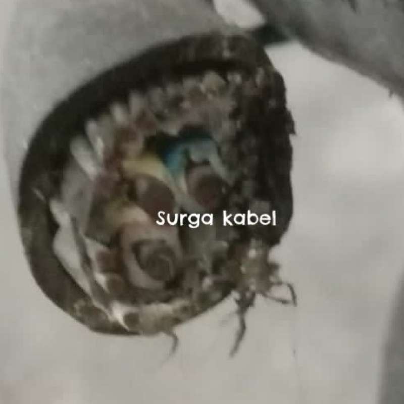 Promo P22 Rail 1.5 Meter Dimmable Magnetic Track Light System Rel Lampu ...