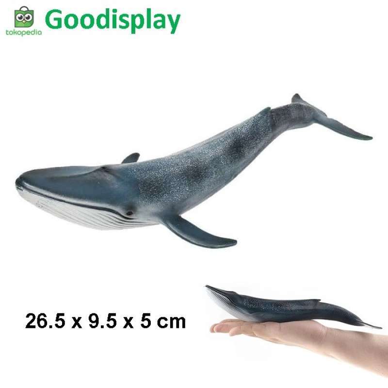 Promo Aneka Mainan Hewan Laut Ikan Paus Hiu Orca Sperm Blue Whale Shark ...