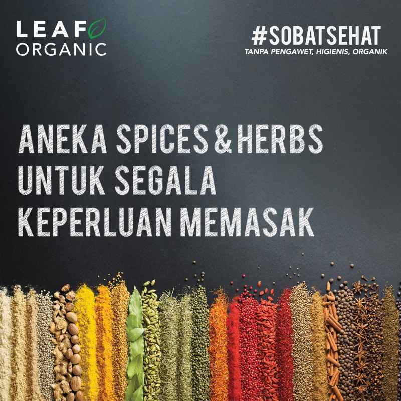 Promo Dried Bay Leaves Leaf Organic Daun Salam Kering Premium Murni ...