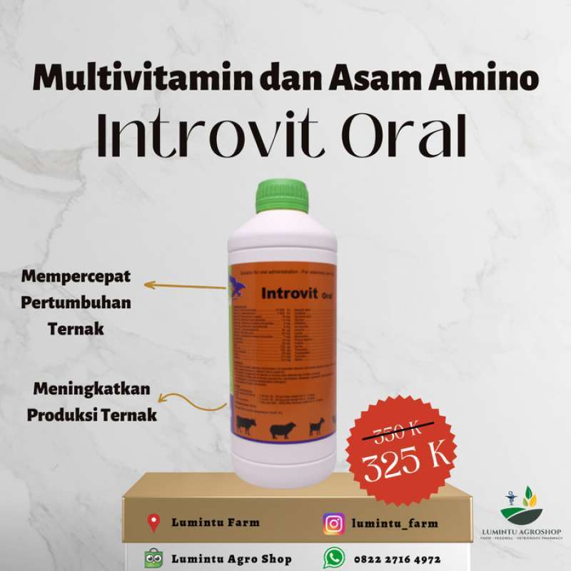 Promo Multivitamin Dan Asam Amino Ternak (Introvit Oral 1 Liter) Diskon ...