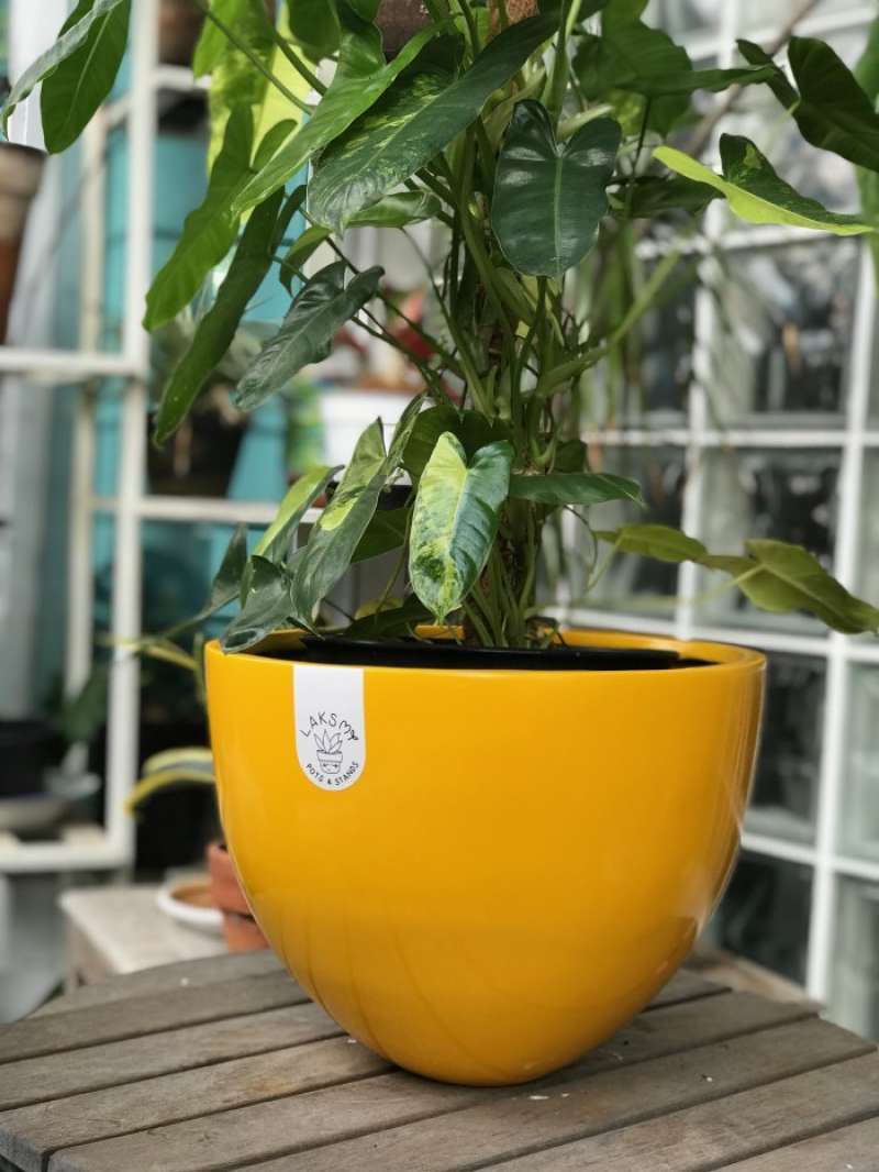 Jual Pot Tanaman Design Minimalis Mewah Bol Warna Kuning Di Seller ...