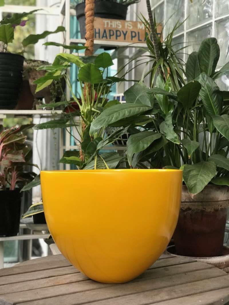 Jual Pot Tanaman Design Minimalis Mewah Bol Warna Kuning Di Seller ...