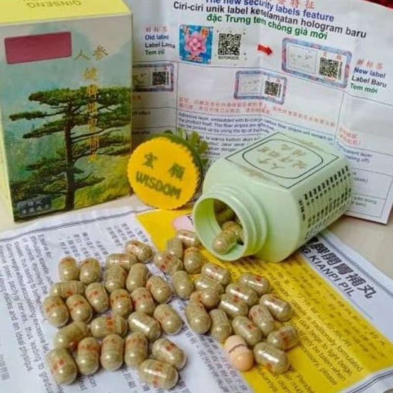 Promo Ginseng Kianpi Pil Wisdom - Obat Gemuk Penambah Nafsu Makan ...