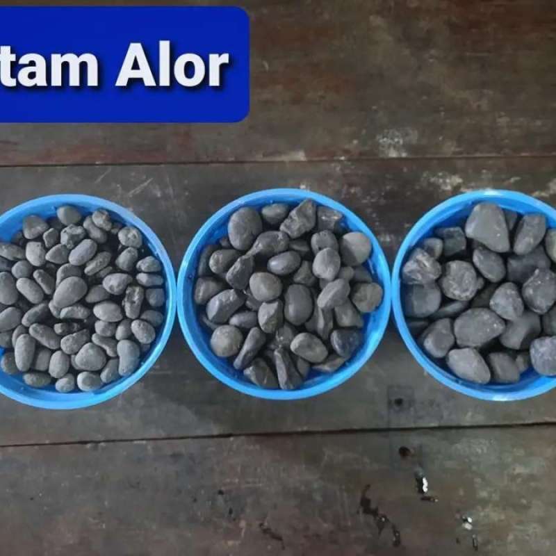 Promo Batu Hitam Alor 10 Kg (batu Alam Koral Sikat Kacang Hias Taman ...