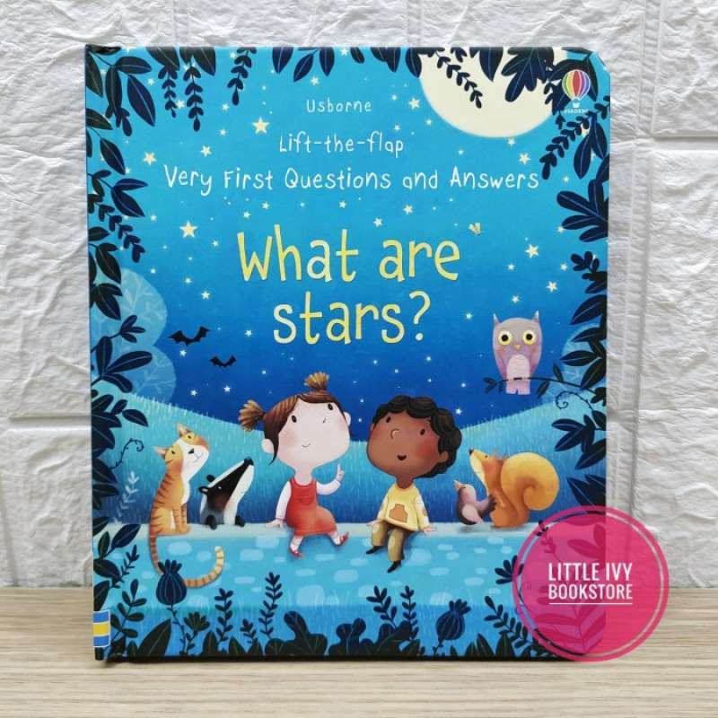 Promo Usborne Lift the Flap Very First Questions and Answers What Are ... Promo Usborne Lift the Flap Very First Questions and Answers What Are ...