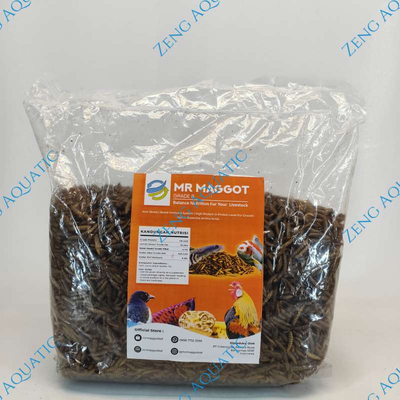Jual Pakan Ikan Predator Maggot/Magot Kering BSF / Dry Maggot grade B ...