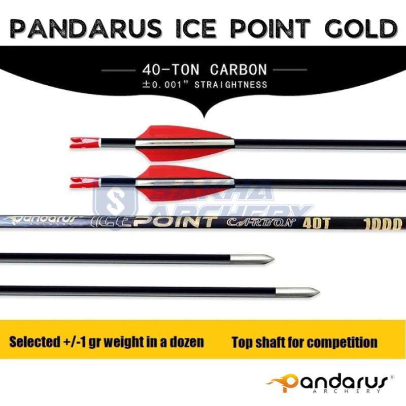 Jual Arrow Pandarus Ice Point Gold Straightness 0.001 Anak Panah 40T ...