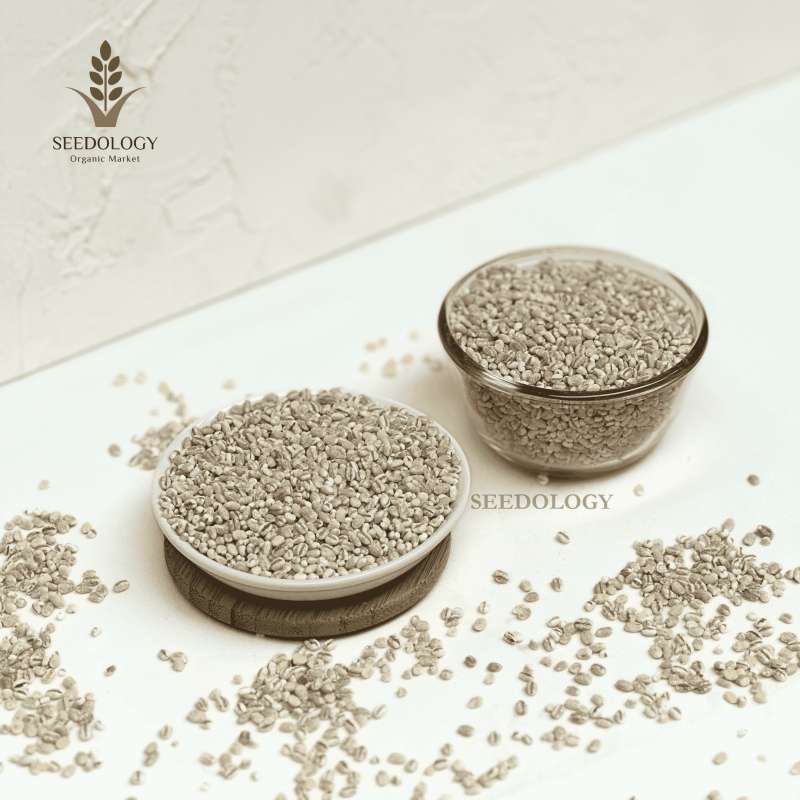 Jual Organic Barley 100gr - Biji Jali-jali / Natural Pearl Barley Di ...