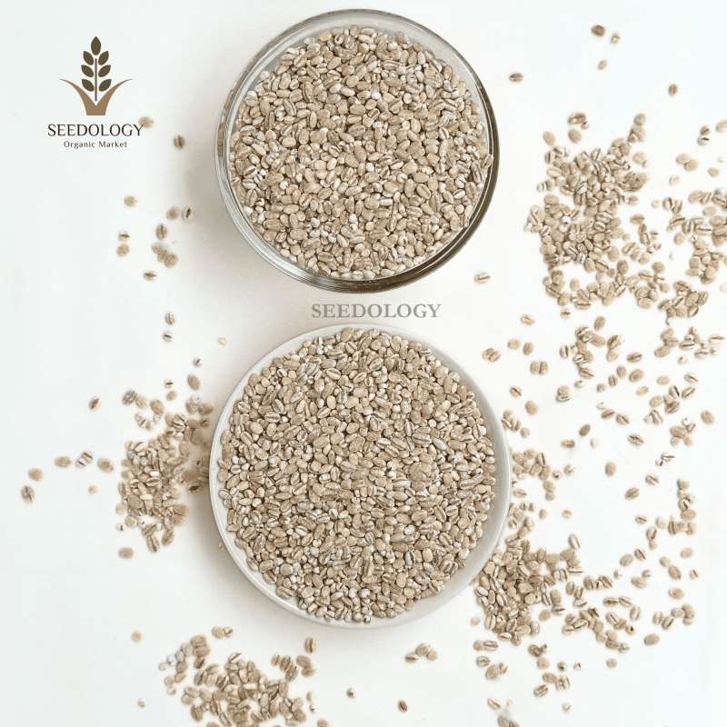 Jual Organic Barley 100gr - Biji Jali-jali / Natural Pearl Barley Di ...
