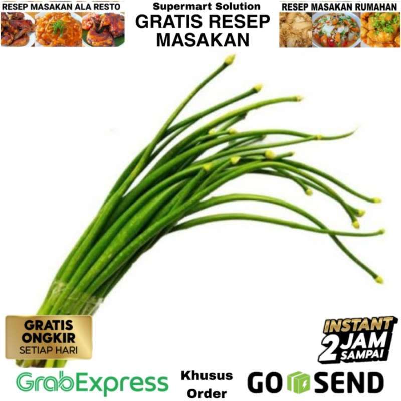 Jual Daun Bawang 1 Ikat Termurah - Harga Grosir Terupdate Hari Ini | Blibli