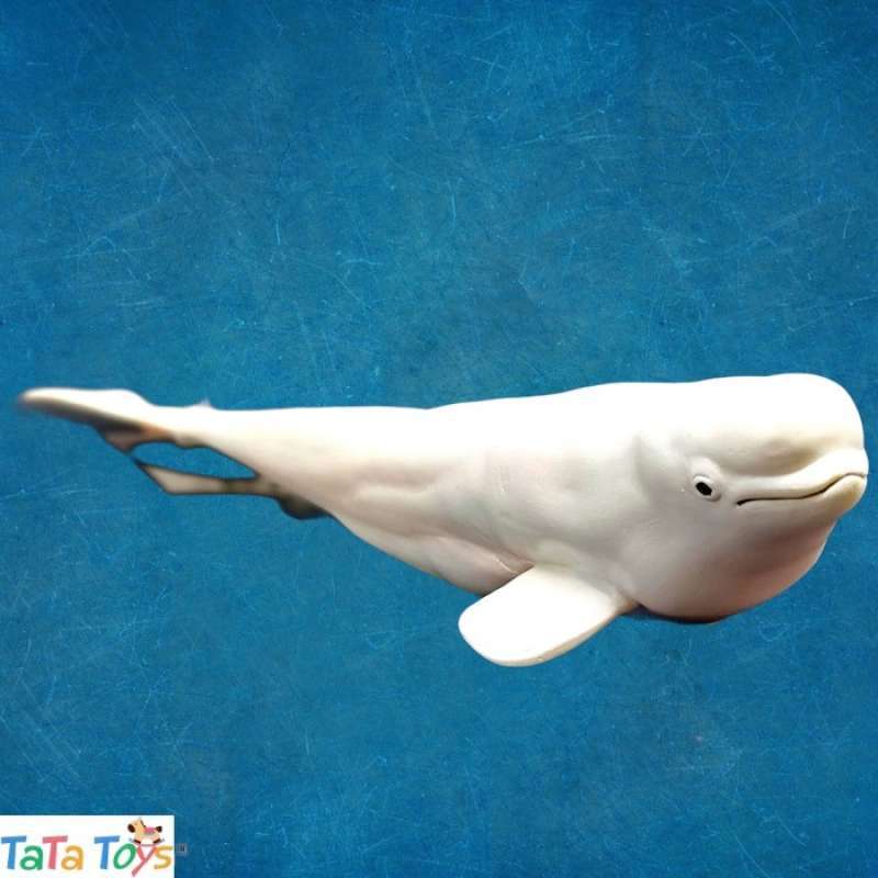 Jual New Canna Education Toy - Beluga Whale - Mainan Action Figure Paus ...