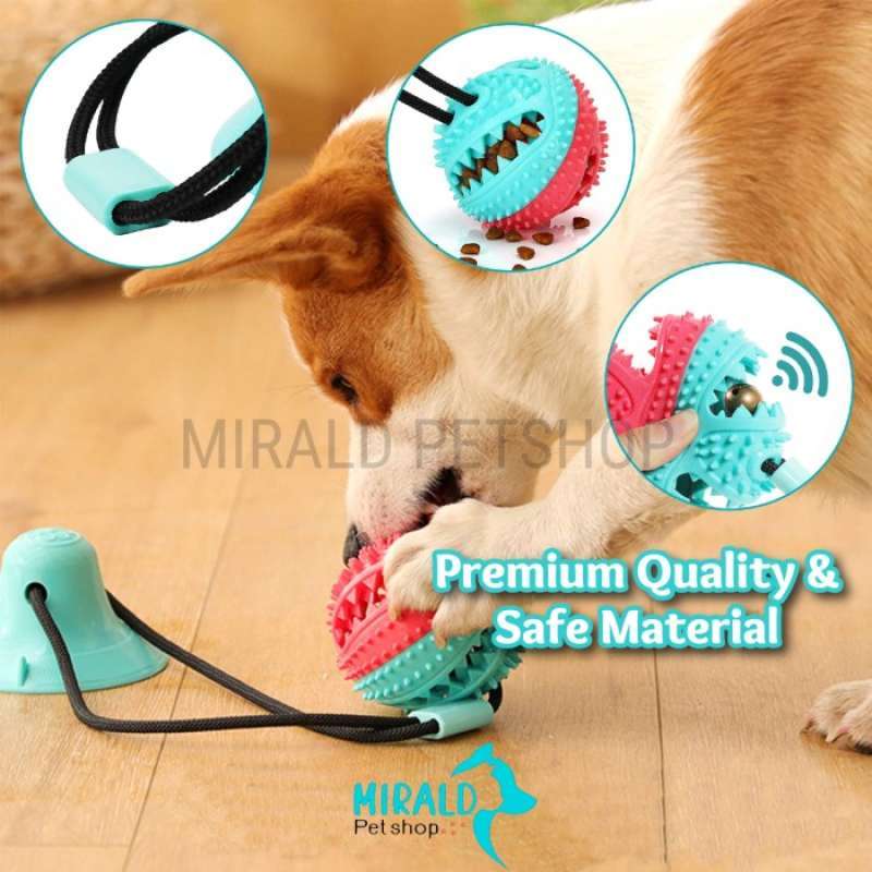 Jual Mainan Hewan Gigitan Bola Anjing Kunyah Tpr Molar Suction Tempel ...