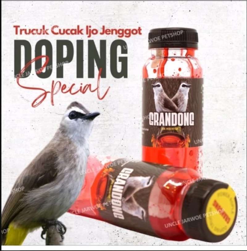 burung kapas tembak harganya berapa