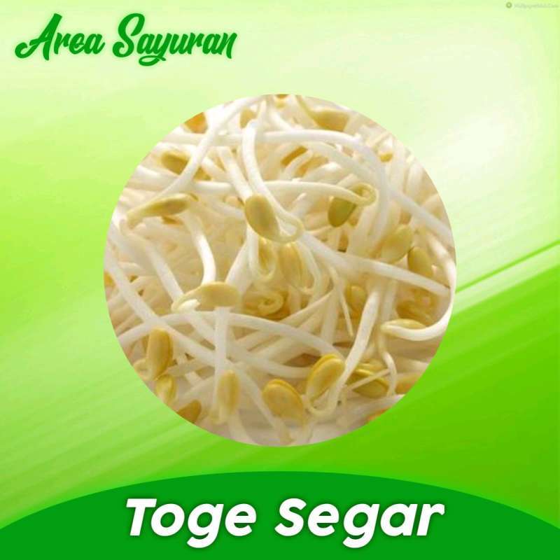 Jual Toge Segar 500g Halal di Seller Area Sayuran - Pasirkaliki, Kota ...