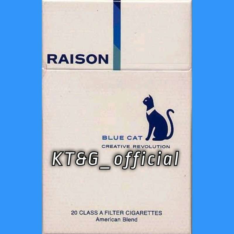 Jual Raison Blue Cat Termurah - Harga Grosir Terupdate Hari Ini | Blibli