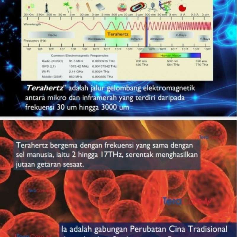 Jual Itera Care Classic - Alat Terapi Kesehatan - Ori Di Seller Jakarta ...