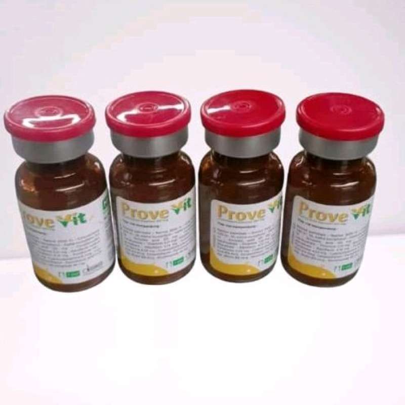 Jual Multivitamin Injeksi Ulvice Terbaik Februari 2025 - Harga Murah ...