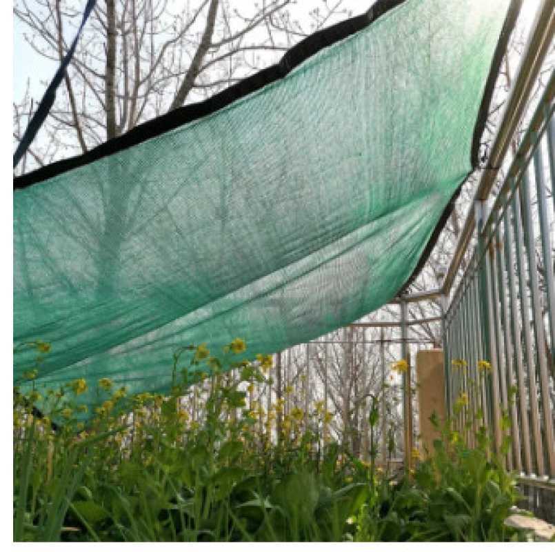 Jual Jaring Pelindung Dari Sinar Matahari Untuk Taman / Penutup Tanaman ...