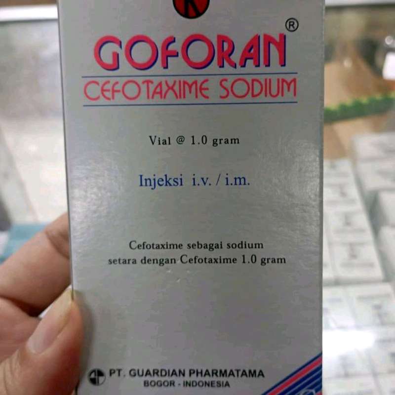 Cefotaxime Injeksi Lengkap Harga Terbaru Juni 2024 | Blibli