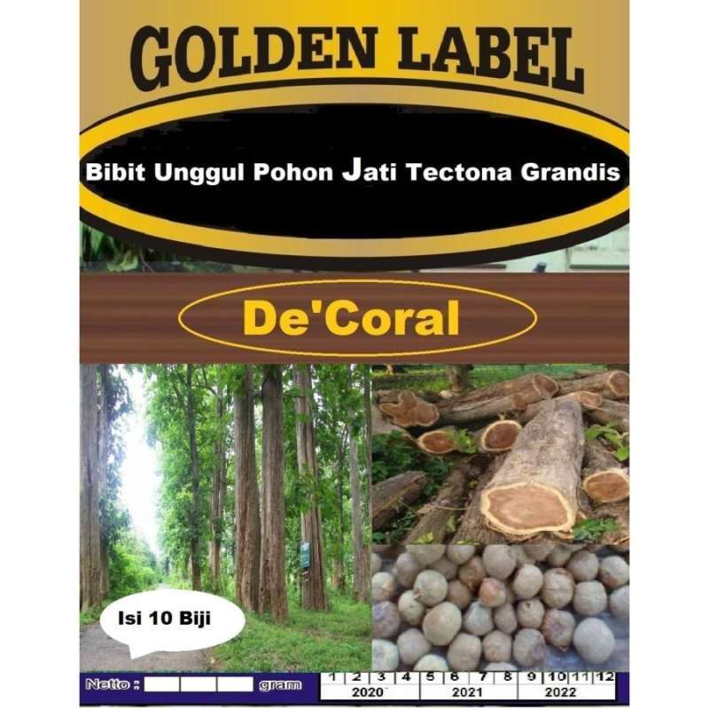 Pohon Jati Perkebunan Pohon Jati Foto Stok Unduh Gambar Sekarang