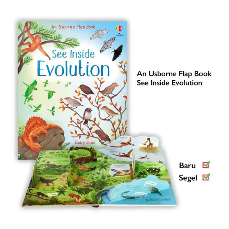 Jual Buku Usborne See Inside Lift The Flap Book Collection - Evolution di Seller Pilihan Shop ...