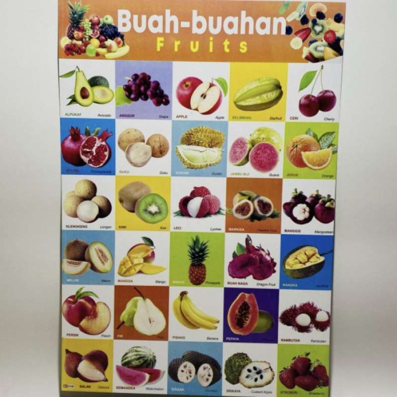 Promo Poster Edukasi Anak Mengenal Buah Buahan Diskon 23% Di Seller ...