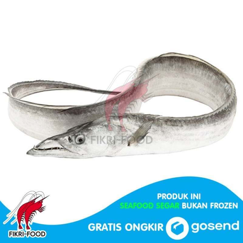 Jual Ikan Layur Frozen Termurah - Harga Grosir Terupdate Hari Ini | Blibli