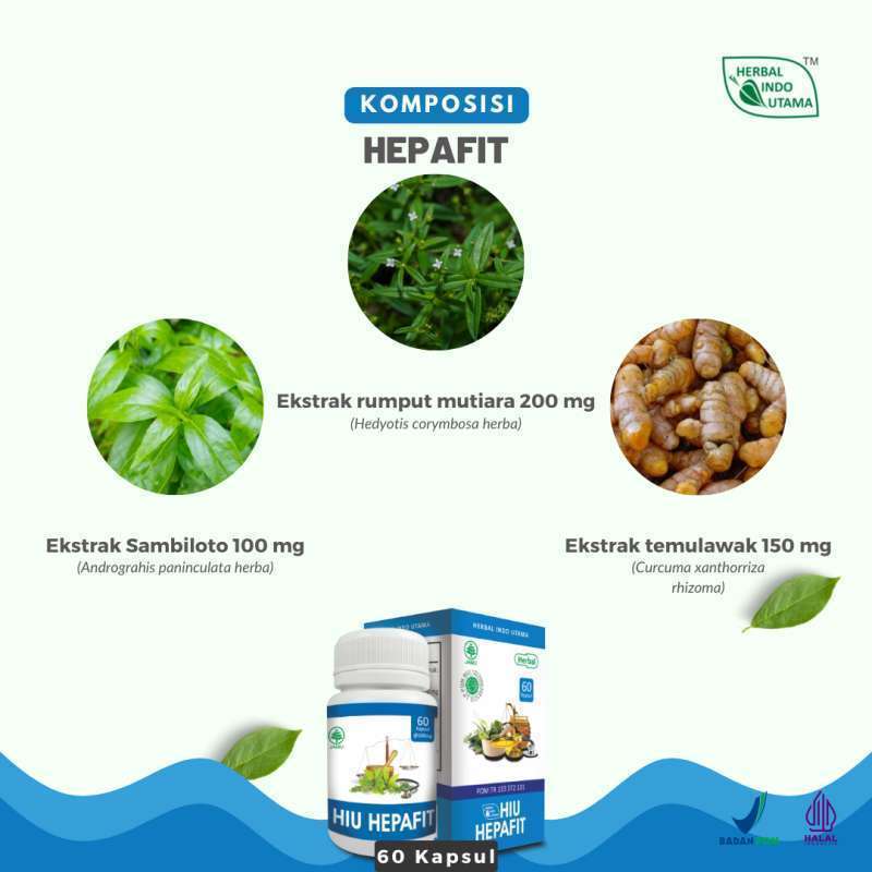 Promo Obat Hepatitis B Kronis Obat Hepatitis B Kronik Herbal Indo Utama - HIU HEPAFIT Terampuh ...