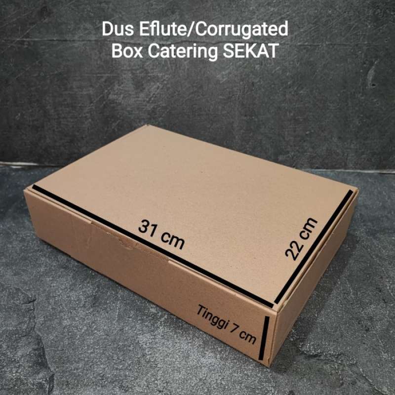 Promo Dus Corrugated Sekat 31x22x7 isi 10 pcs Box Catering Nasi Persegi ...