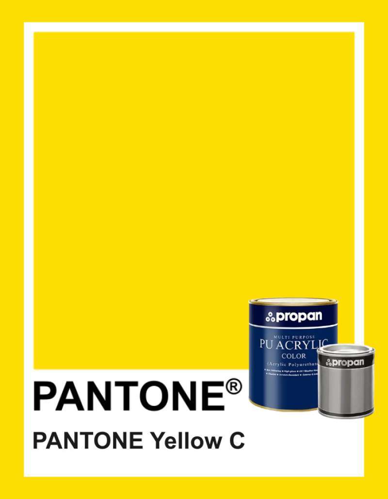 Jual Pantone Cat Original Harga Termurah Juni 2024 | Blibli