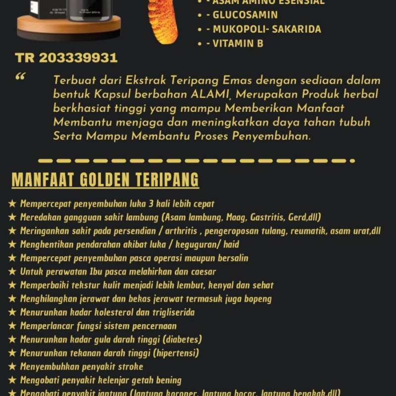 Jual Kapsul Ekstrak Teripang Emas 100% Gamat Peptide Collagen Gci Di ...