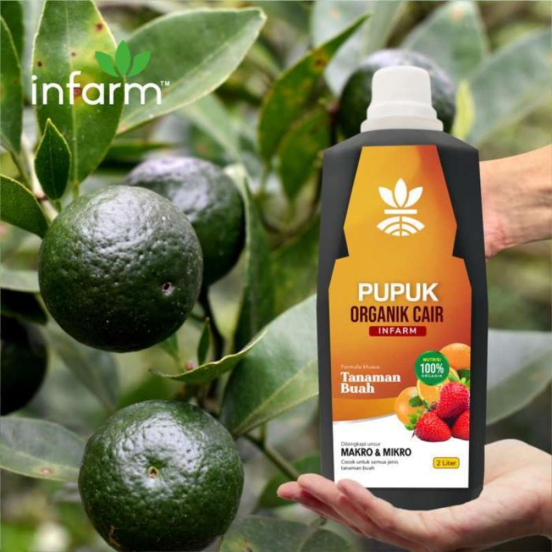 Jual Infarm - Pupuk Organik Cair Tanaman Buah / Bunga 2l Poc Kompos Di Seller Infarm Official ...