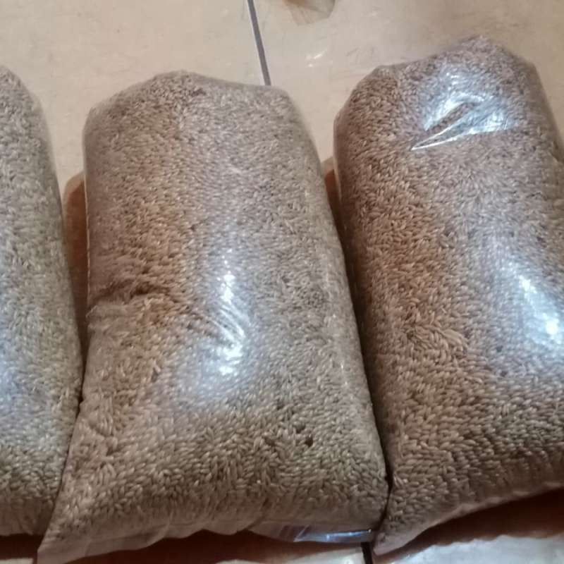 Promo Pakan Kenari Seed Repack 1 Kg Diskon 28% Di Seller Nagara ...