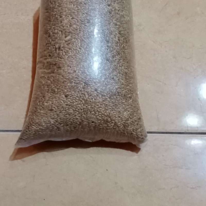 Promo Pakan Kenari Seed Repack 1 Kg Diskon 28% Di Seller Nagara ...
