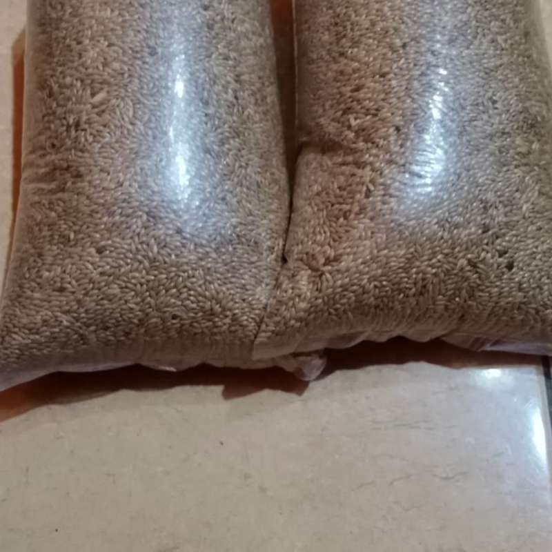 Promo Pakan Kenari Seed Repack 1 Kg Diskon 28% Di Seller Nagara ...